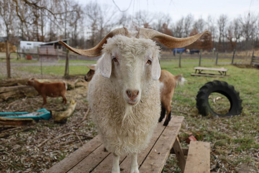 About Humberstone Ranch - humberstoneranch.com