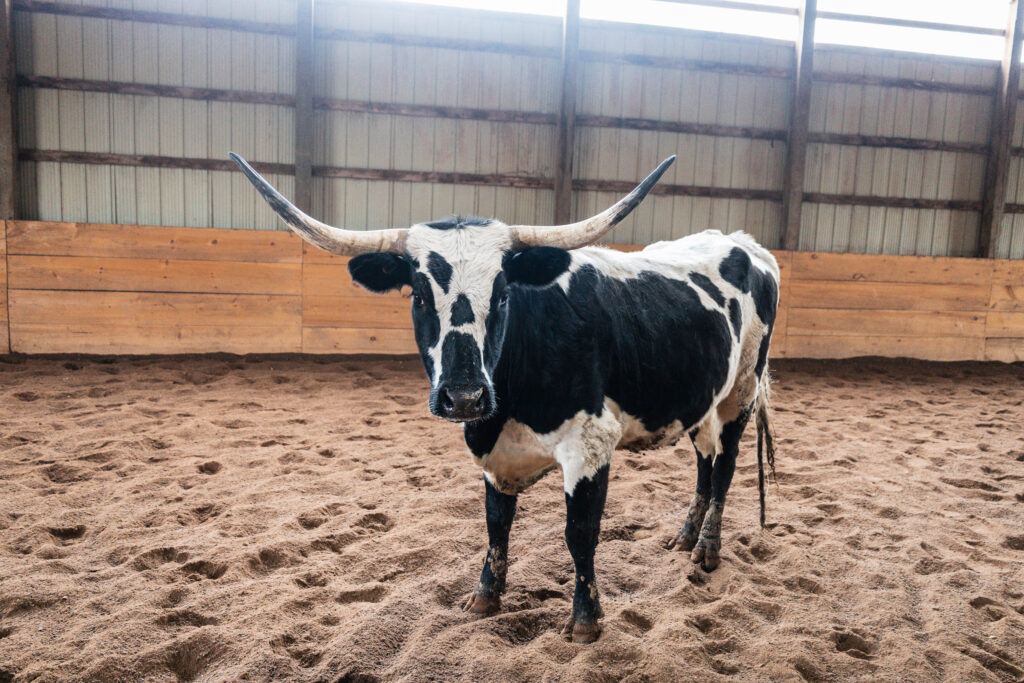 About Humberstone Ranch - humberstoneranch.com