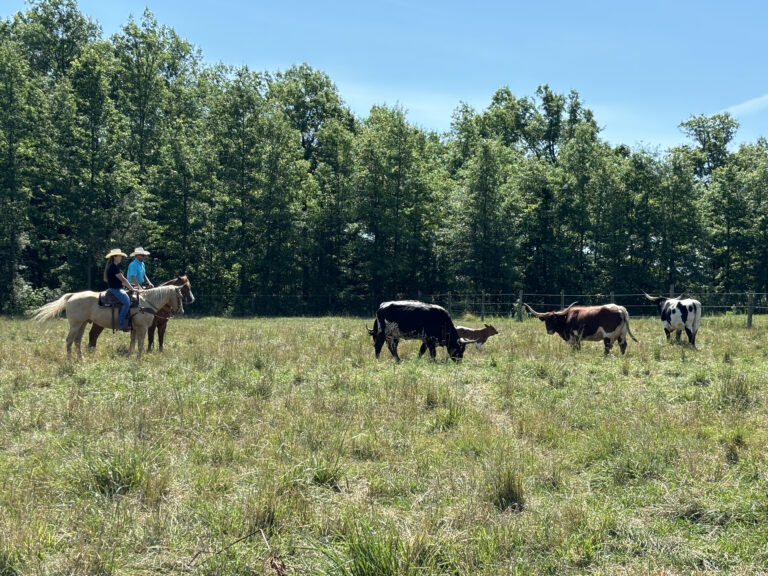 Humberstone Ranch, Horseback Riding Niagara Falls